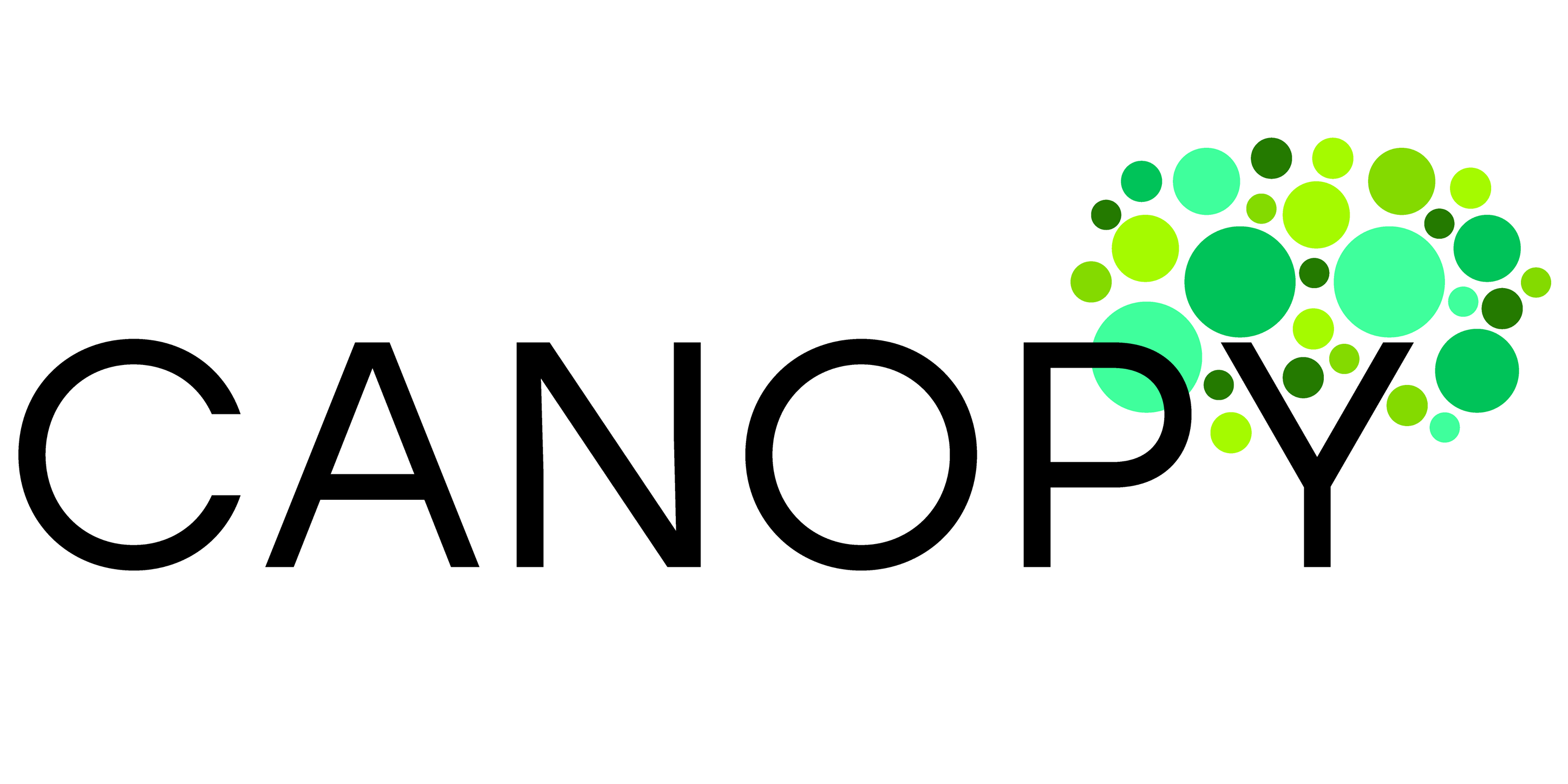 Canopy is staying ahead of the curve - Asheville Area Chamber of Commerce
